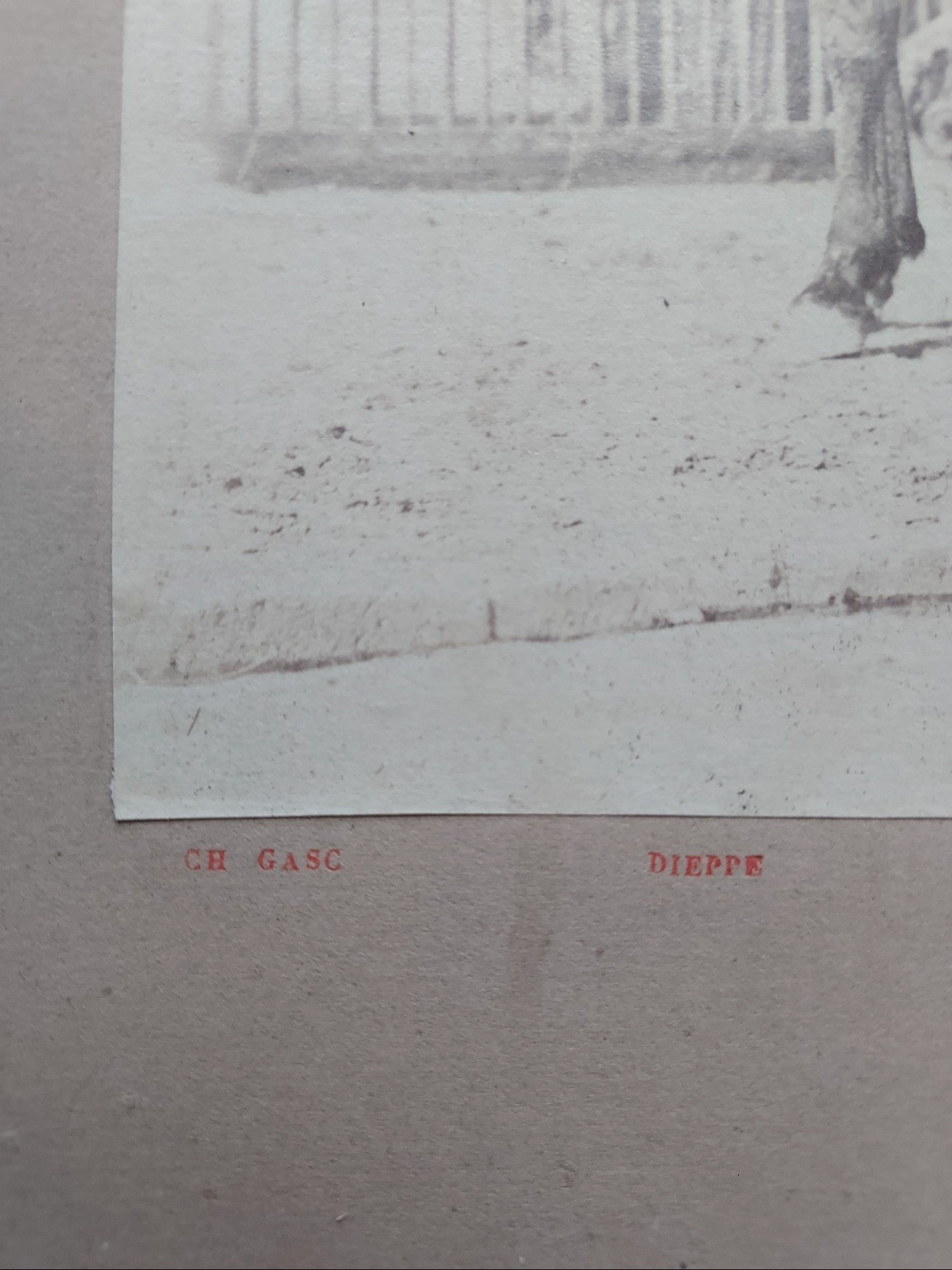 Charles Gabriel Gasc 1829-1881 - Photography | Antikeo