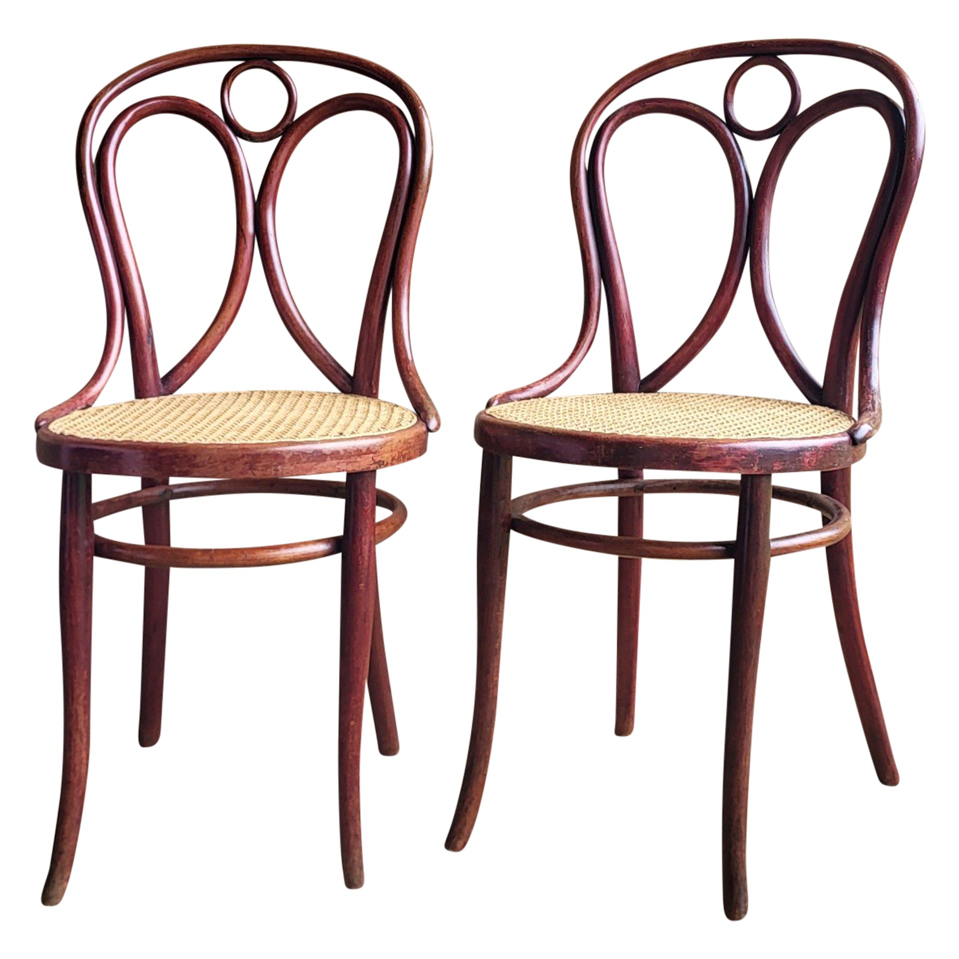 Thonet 19 store