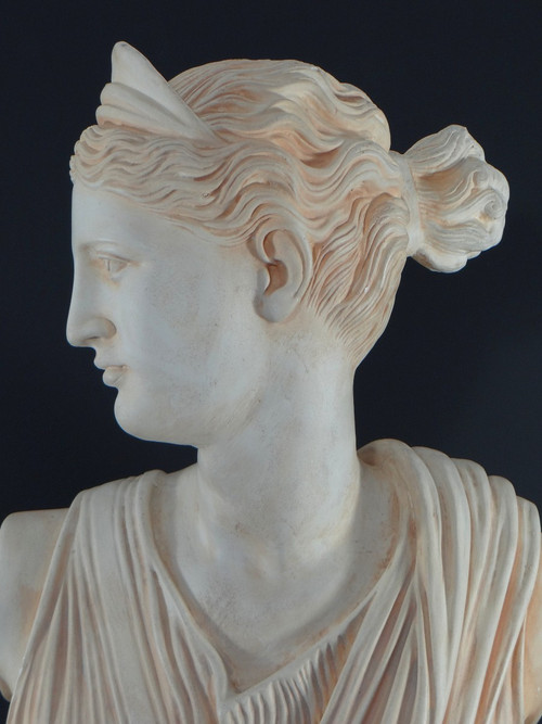 France, 1950s/1960s, Plaster Bust Depicting Aph... | Antikeo