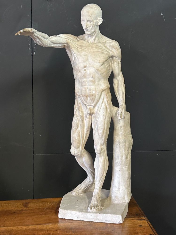 Jean Antoine Houdon (1741-1828) D’après -sculpt... | Antikeo